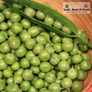 Autumn Planting Guide For Melbourne - Leaf, Root & Fruit Gardening Services