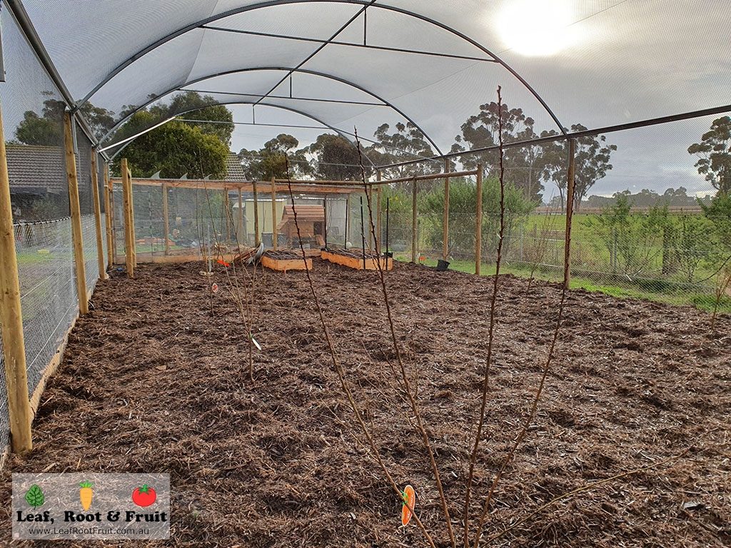 Backyard Orchard Netted Structures - Leaf, Root & Fruit Gardening Services