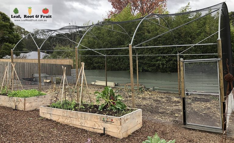 Backyard Orchard Netted Structures - Leaf, Root & Fruit Gardening Services