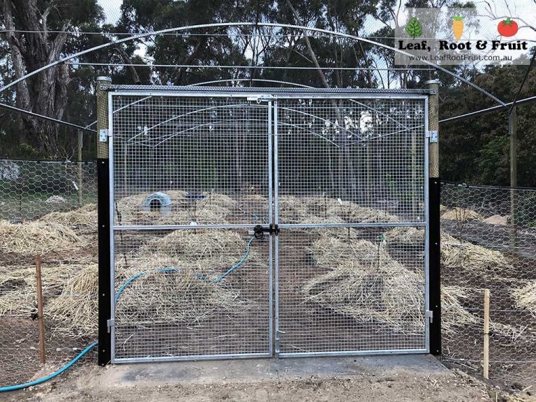 Backyard Orchard Netted Structures - Leaf, Root & Fruit Gardening Services