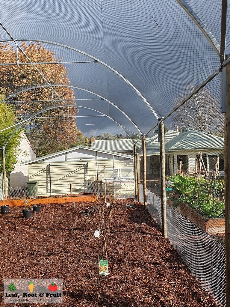 Backyard Orchard Netted Structures - Leaf, Root & Fruit Gardening Services