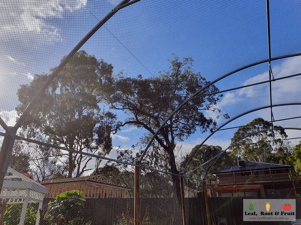 Backyard Orchard Netted Structures - Leaf, Root & Fruit Gardening Services