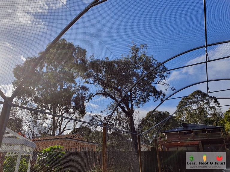 Backyard Orchard Netted Structures - Leaf, Root & Fruit Gardening Services