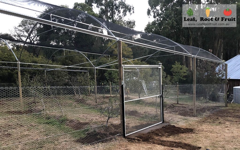 Backyard Orchard Netted Structures - Leaf, Root & Fruit Gardening Services