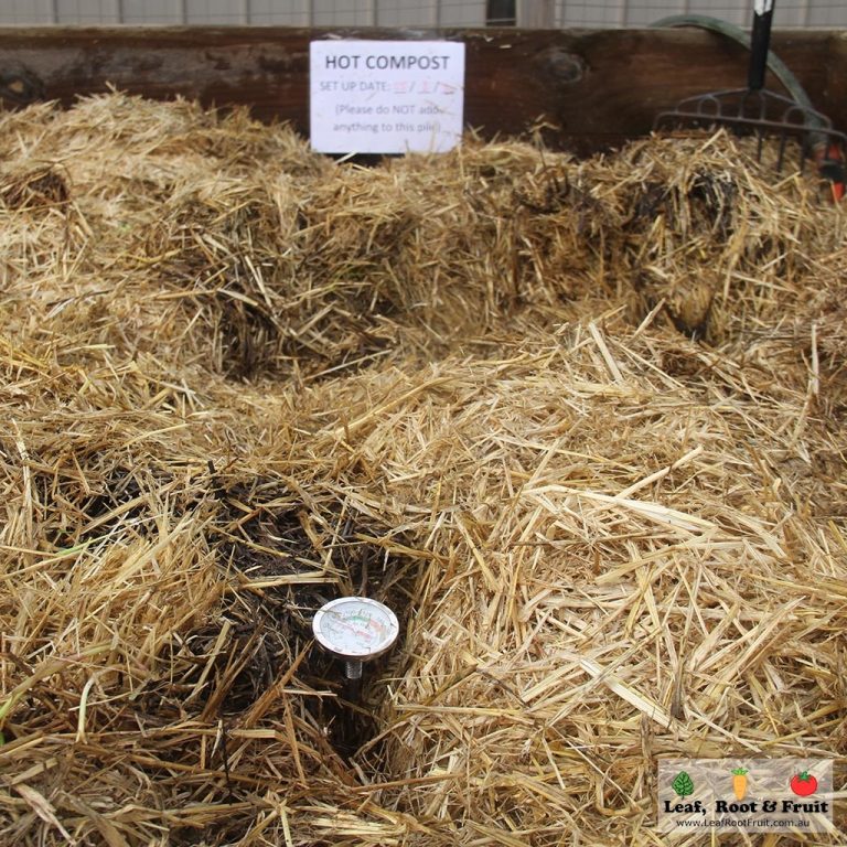 What is the best compost method? - Leaf, Root & Fruit Gardening Services