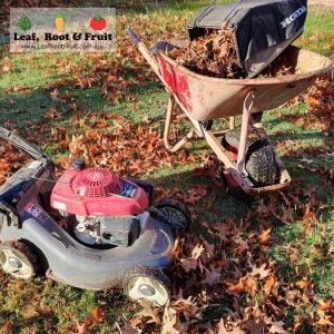 What is the best compost method? - Leaf, Root & Fruit Gardening Services