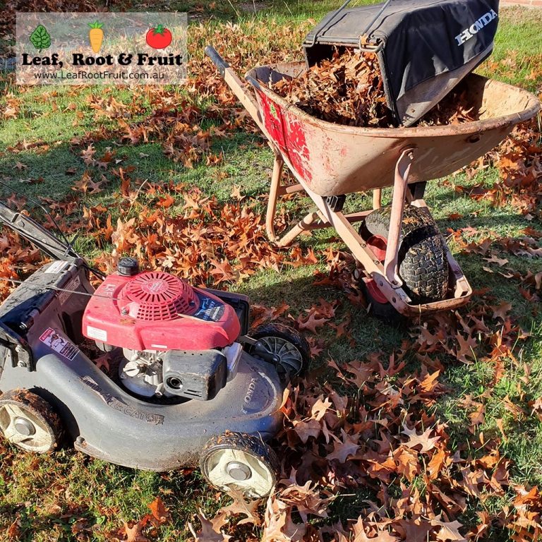 What is the best compost method? - Leaf, Root & Fruit Gardening Services