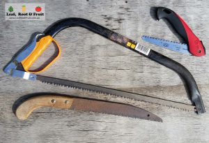 Guide to Pruning Fruit Trees - Leaf, Root & Fruit Gardening Services