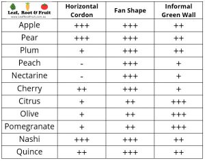 How to Set-Up and Maintain Espaliers - Leaf, Root & Fruit Gardening ...