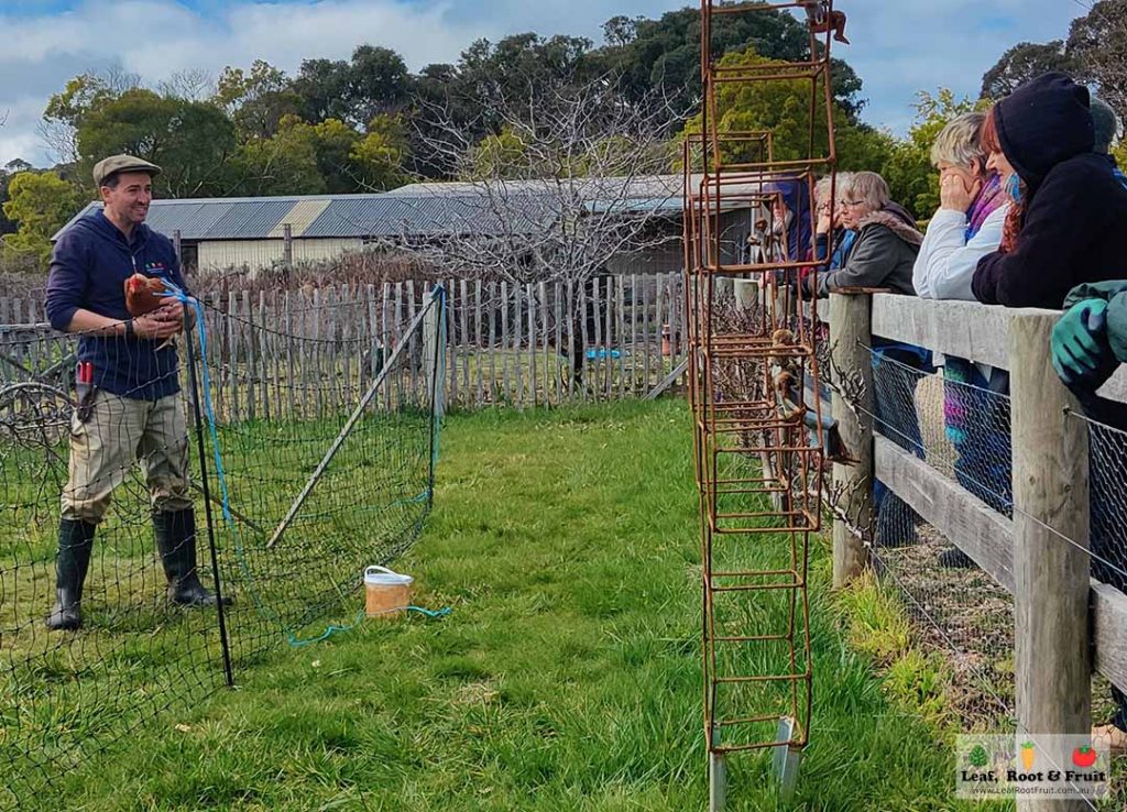 2023 science of edible gardening compost owrkshop - Leaf, Root & Fruit ...