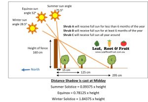 Sun Angles and Shade Diagram - Leaf, Root & Fruit Gardening Services