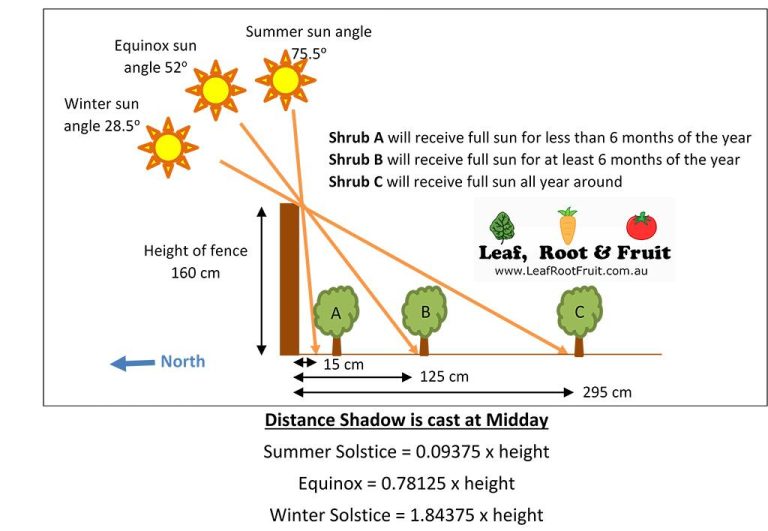 Sun Angles and Shade Diagram - Leaf, Root & Fruit Gardening Services