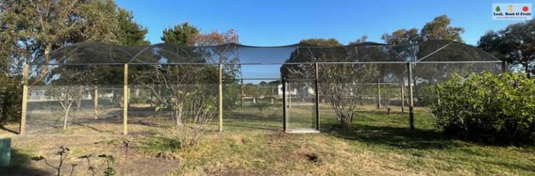 Backyard Orchard Netted Structures - Leaf, Root & Fruit Gardening Services