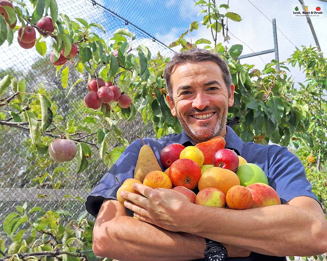 Planning Your Backyard Orchard - Leaf, Root & Fruit Gardening Services