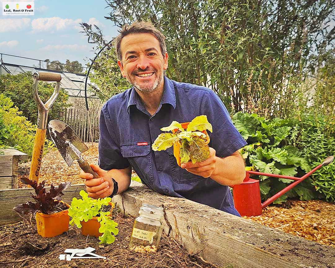 Petrol Crisis Vegetable Planting Guide Duncan Cocking - Leaf, Root ...